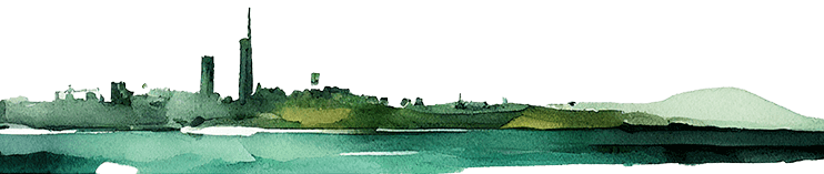 United Nations Nitrogen Interactive Banner